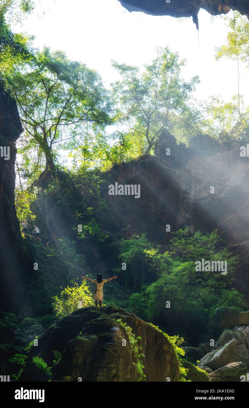 A forest is hidden in Karst Tiankeng in Hechi City, south China's ...