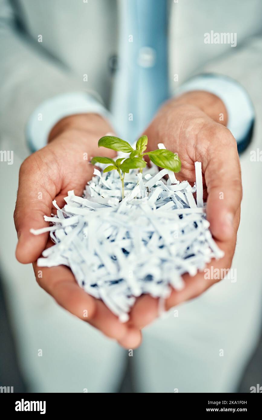 From the old grows the new. High angle shot of an unrecognizable ...