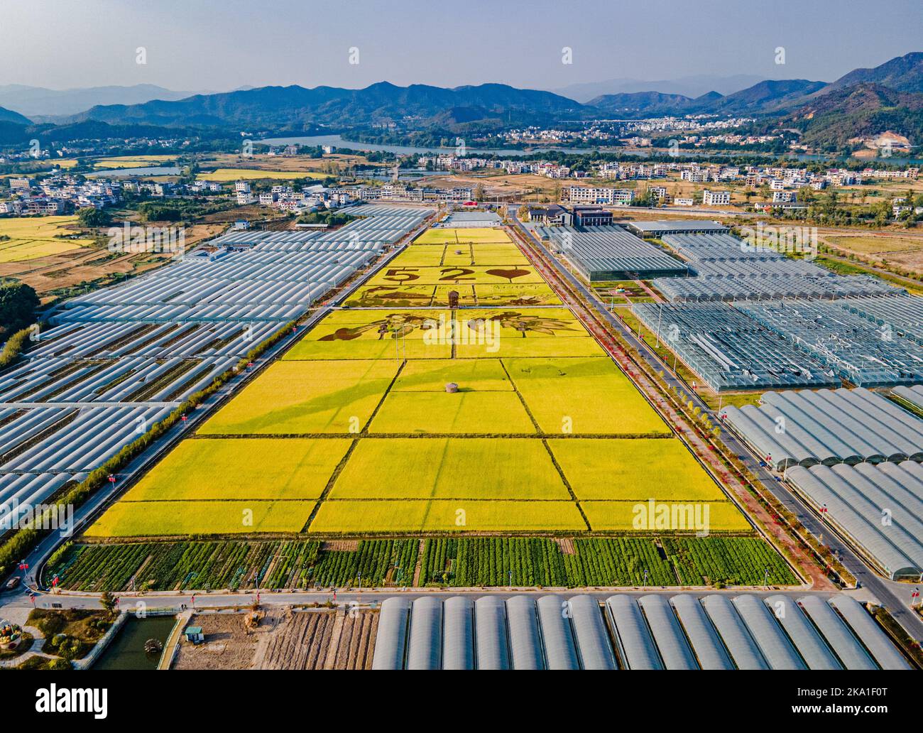 Aerial photos show picturesque rice field views in Fuxi Town. Ganzhou ...