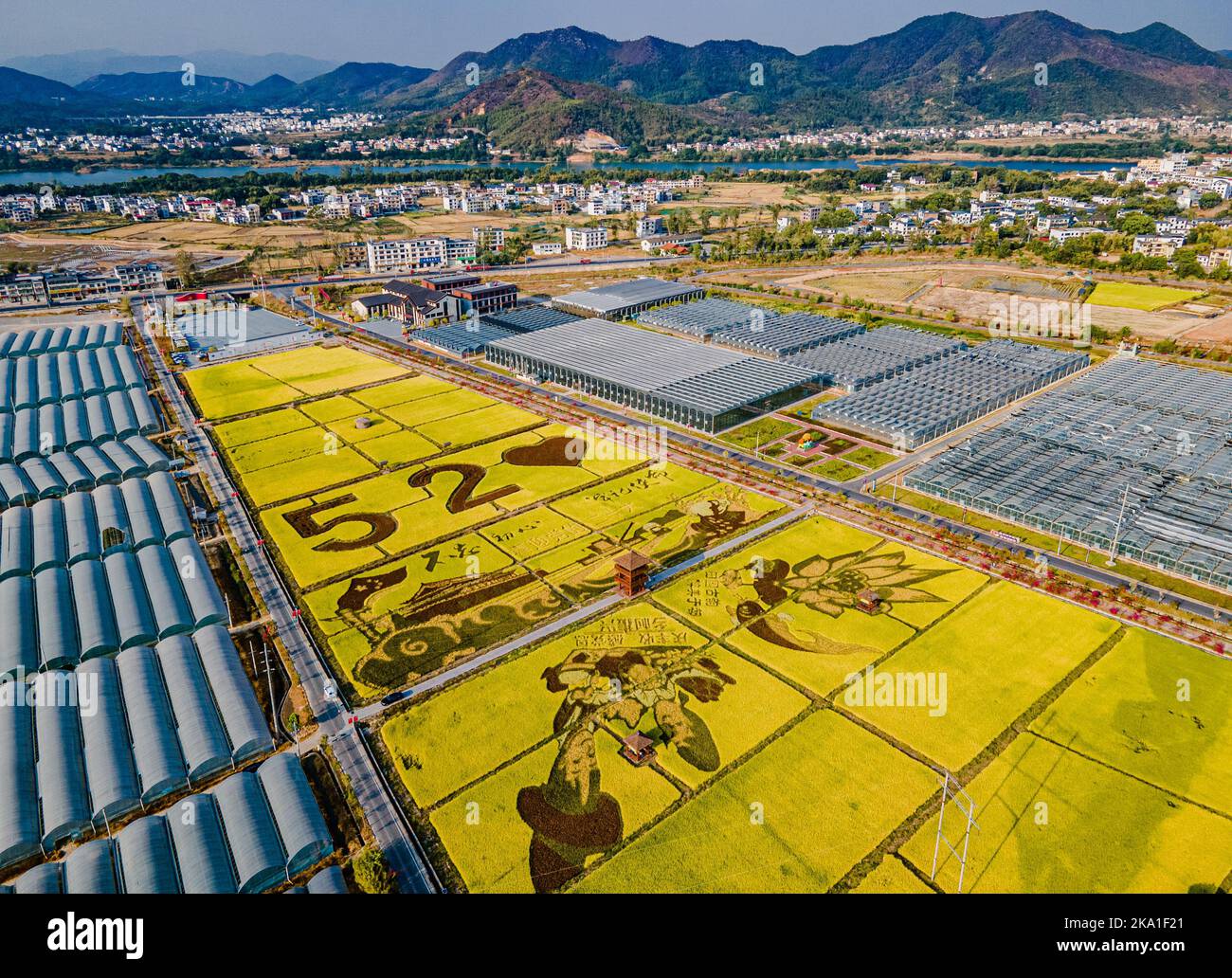 Aerial photos show picturesque rice field views in Fuxi Town. Ganzhou ...