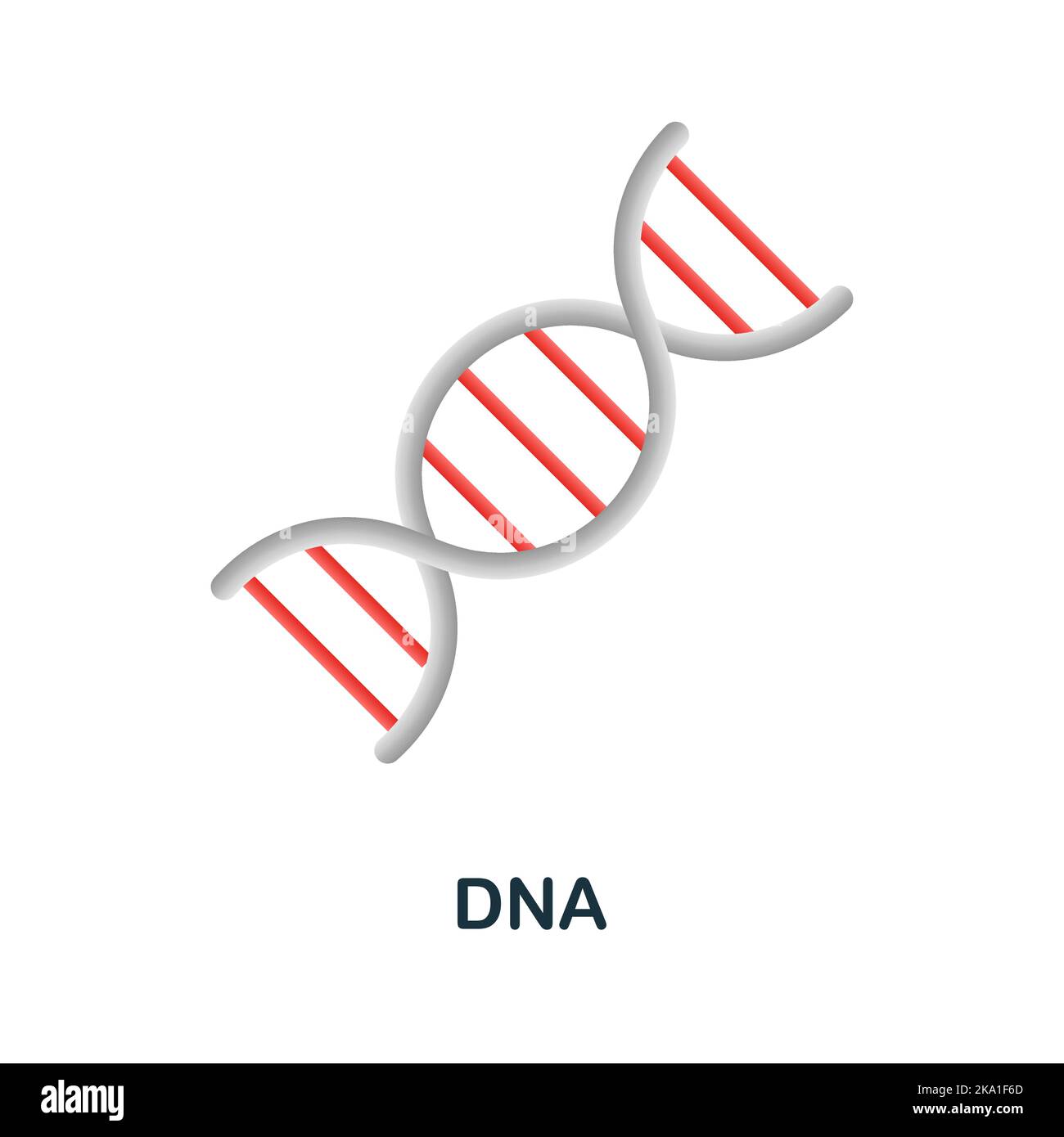 Creative Dna Structure Model