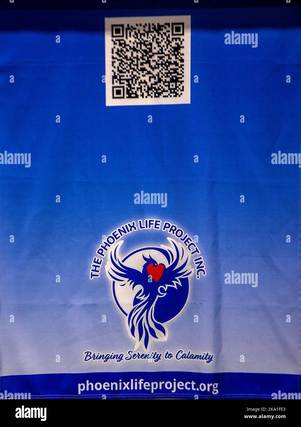 Banner of The Phoenix Life Project, a nonprofit created by Neil Handler ...