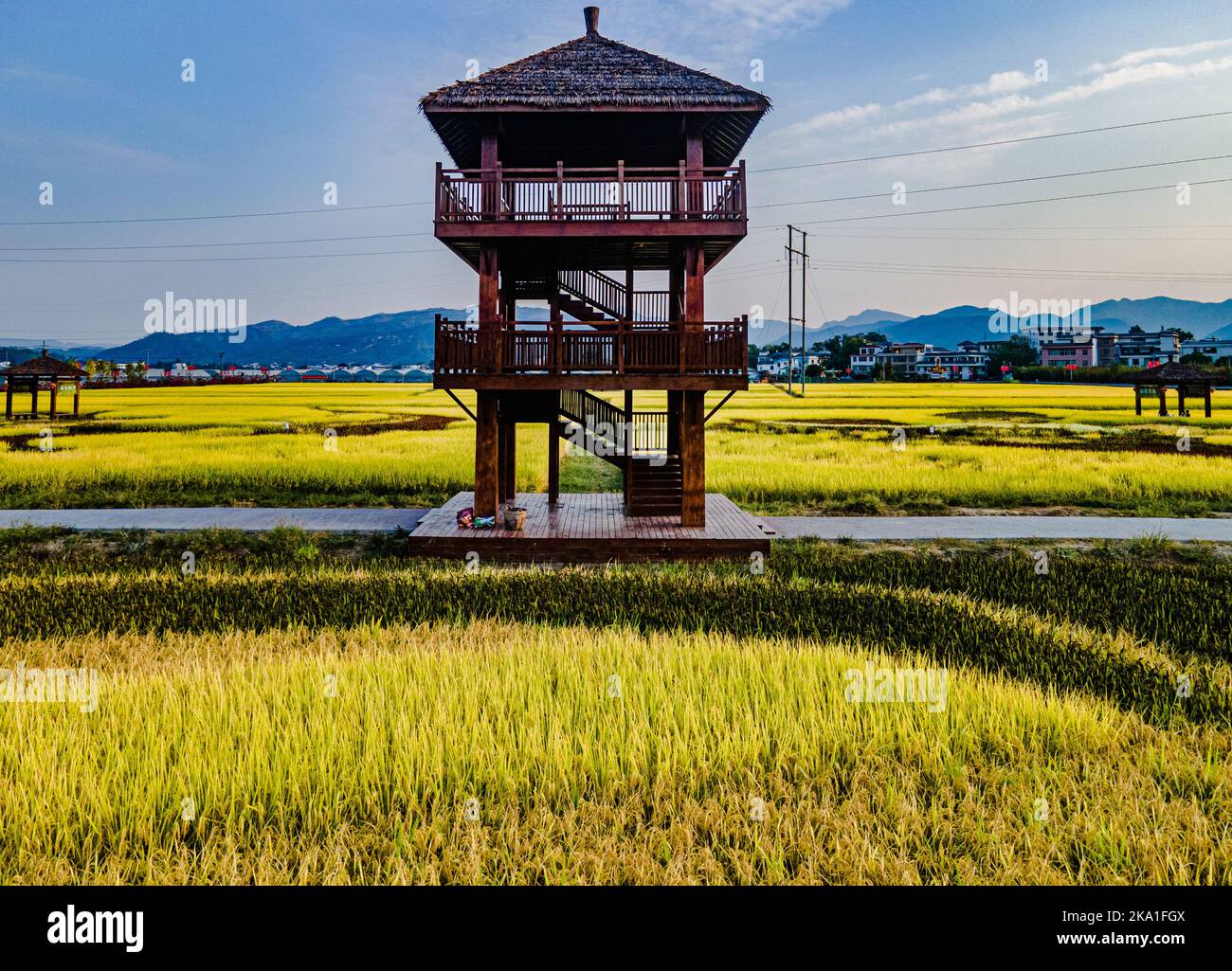 Aerial photos show picturesque rice field views in Fuxi Town. Ganzhou ...