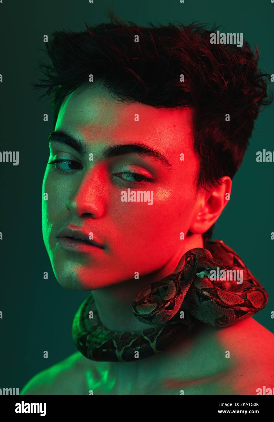 Beauty light, snake and face of model with creative color fashion, red neon lighting and luxury ...