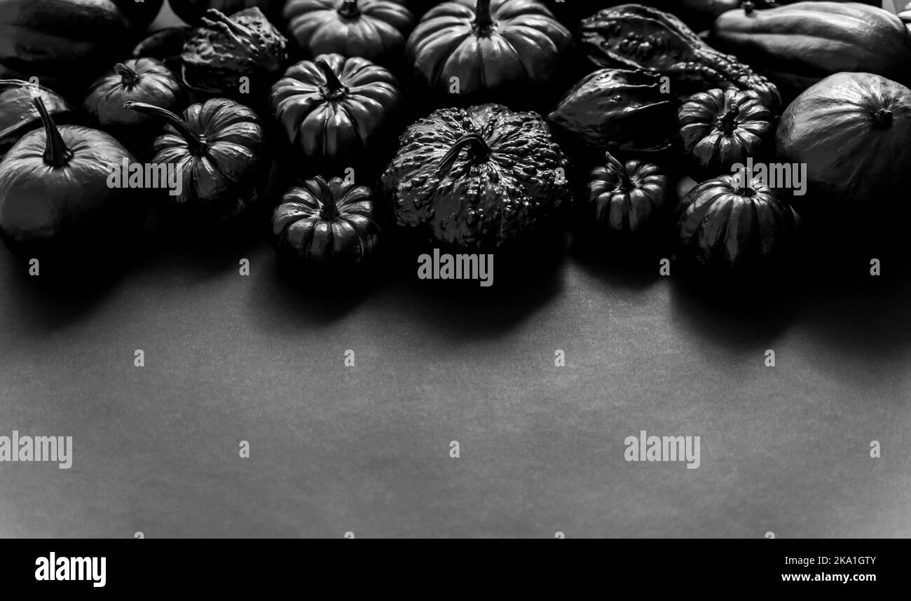 Various kinds cute mini pumpkins in black colour placed black ...