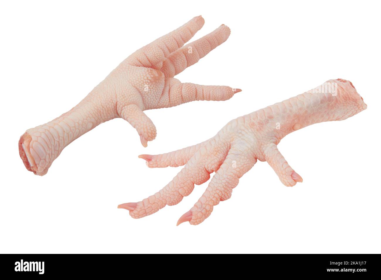 Raw chicken feet isolated on white background Stock Photo - Alamy
