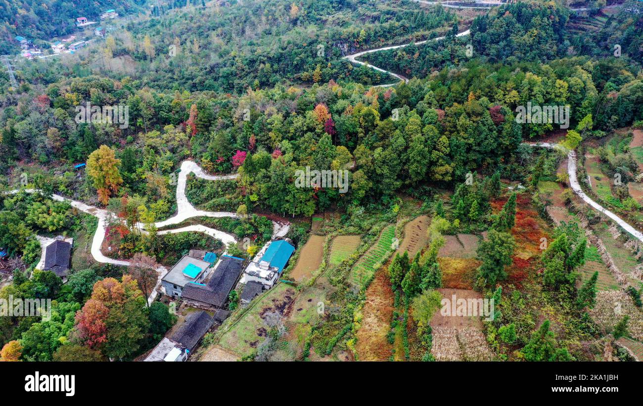 Aerial photos show the natural colorful forest in Zhongba Village ...