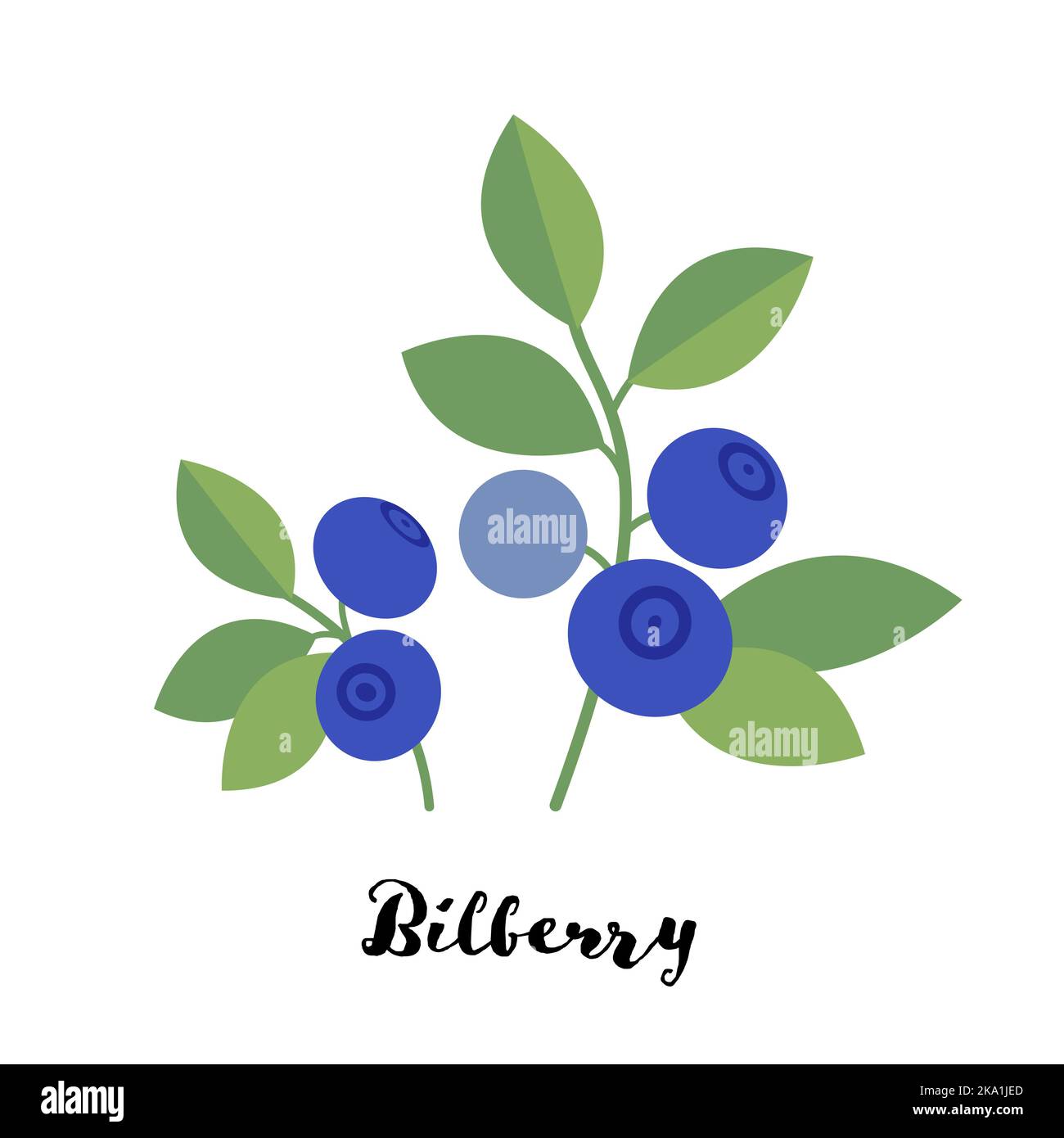 Wild plant on north Cut Out Stock Images & Pictures - Alamy