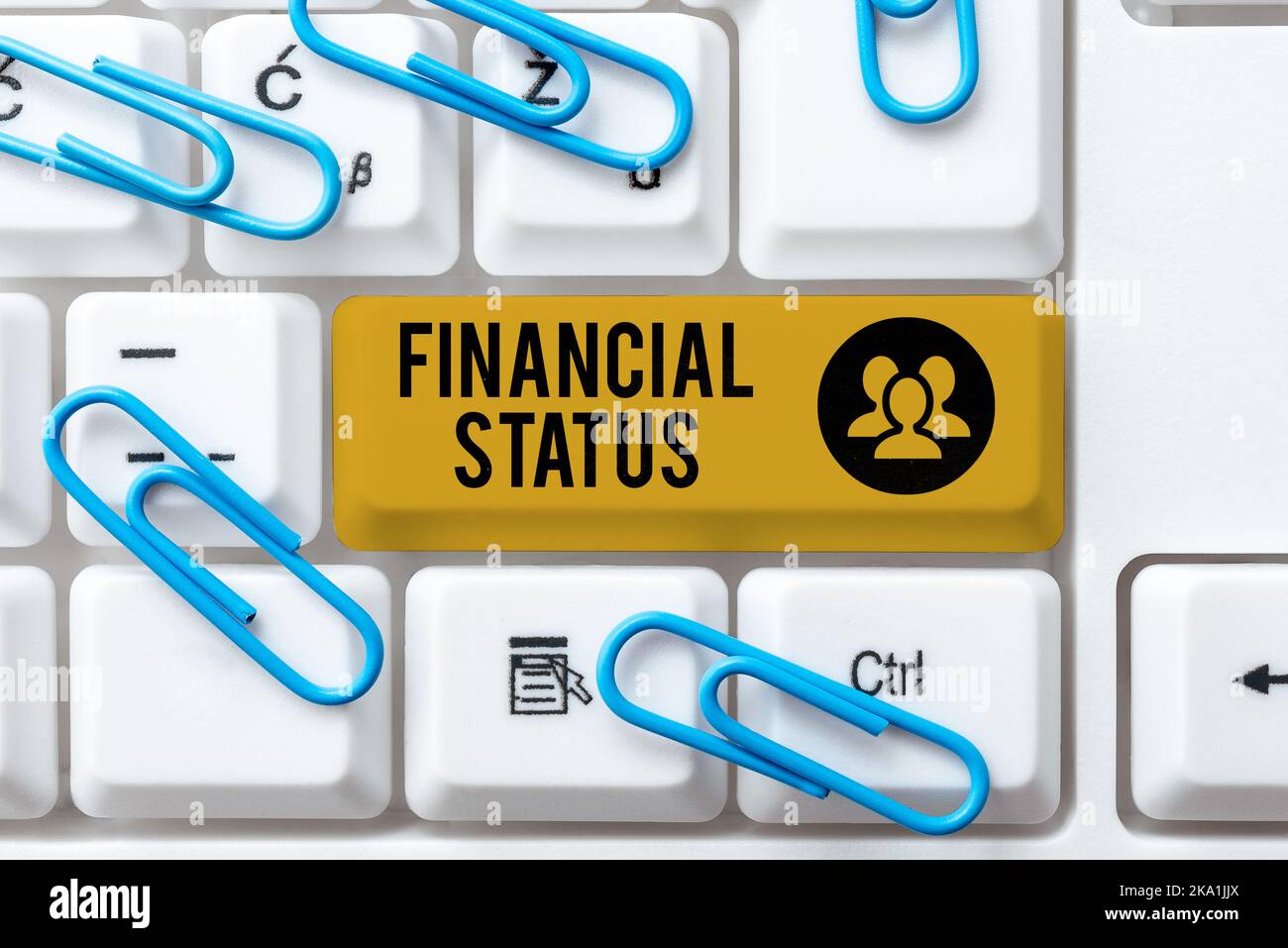 Text caption presenting Financial Status. Word for system for dealing ...