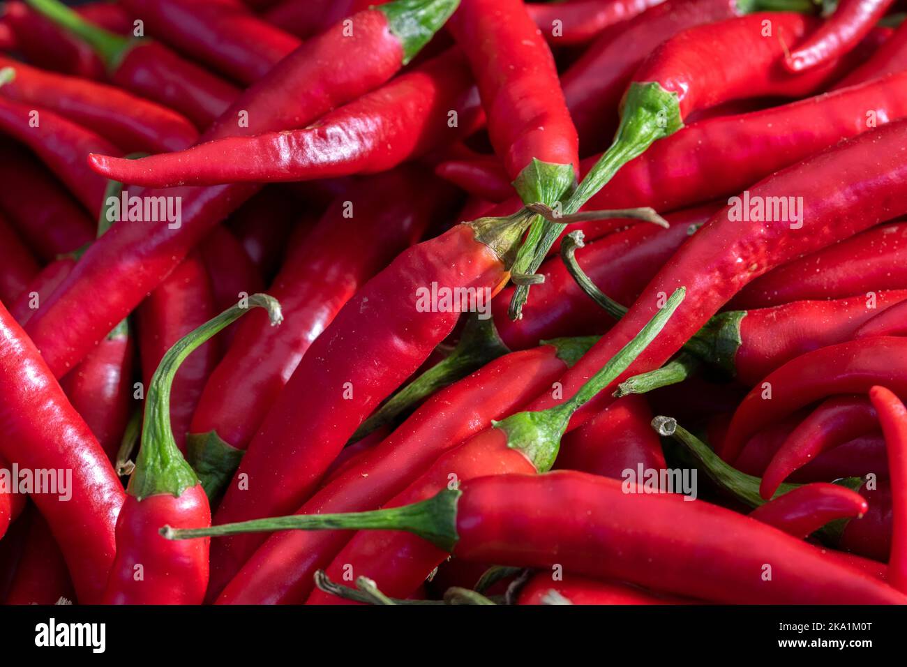 Close Up Red Peppers At Amsterdam The Netherlands 6-10-2022 Stock Photo ...