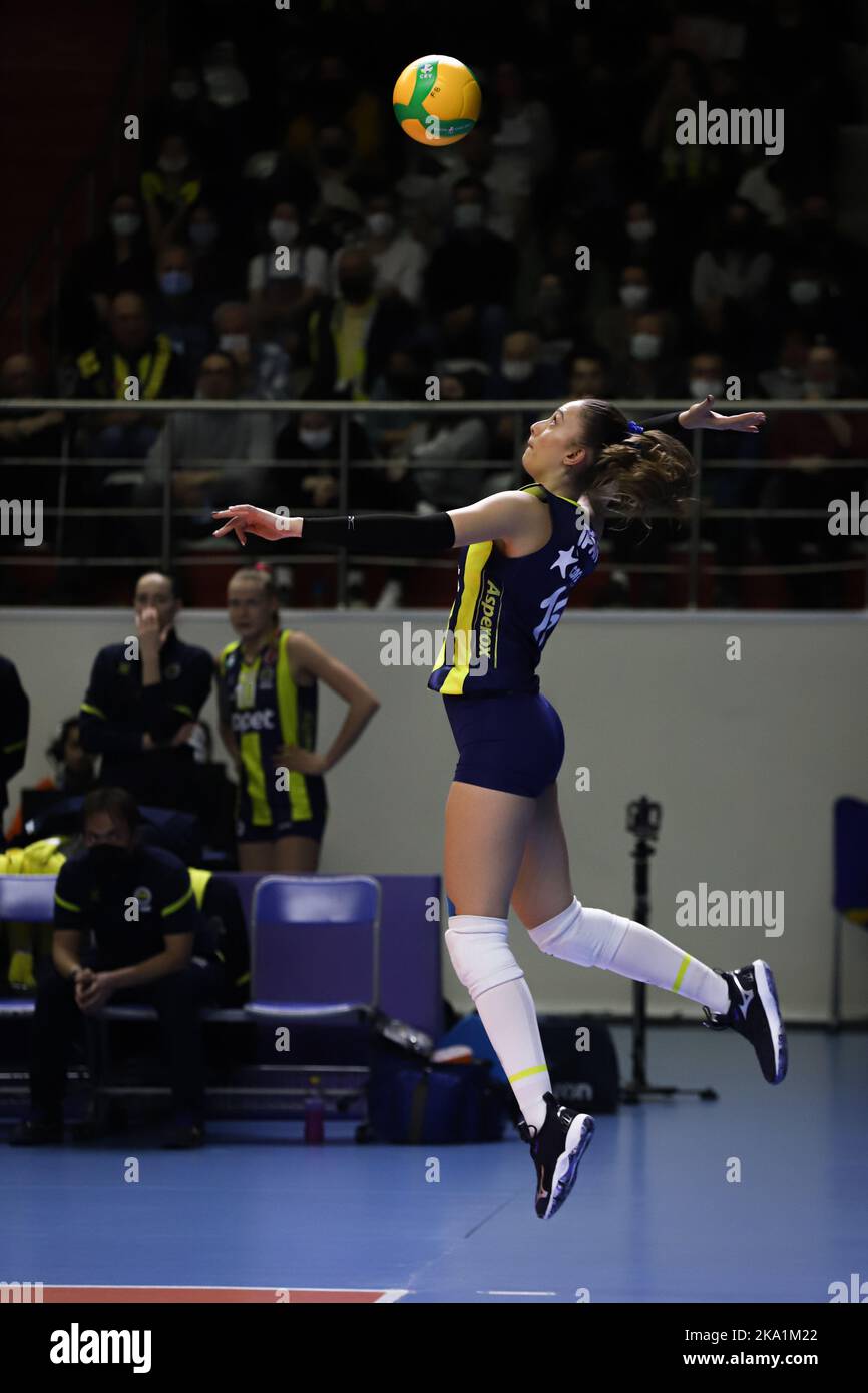 Ipar ozay kurt hi-res stock photography and images - Alamy