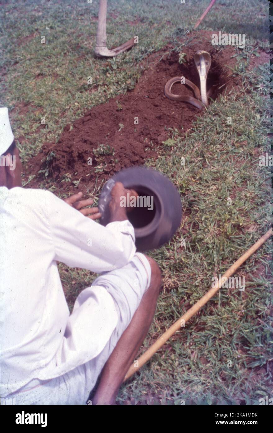 Nag Panchami Festival At Battis Shirala Village:- Shirala Village is in ...