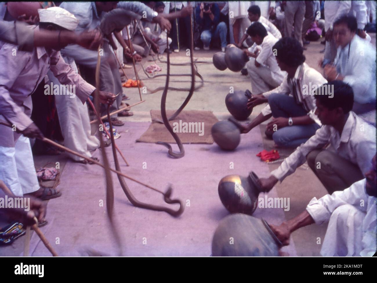 Nag Panchami Festival At Battis Shirala Village:- Shirala Village is in ...