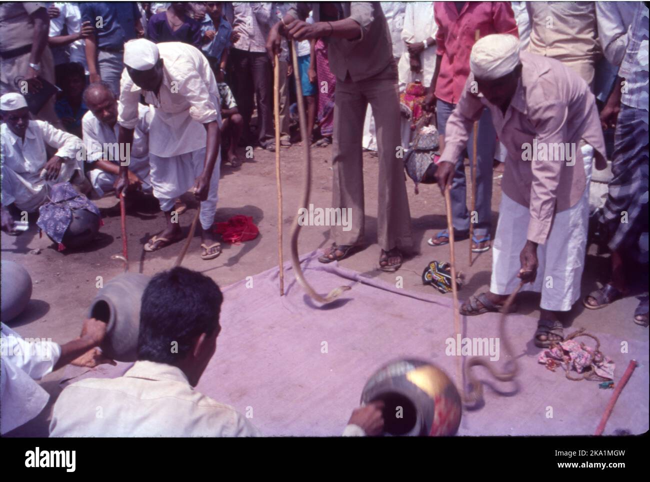 Nag Panchami Festival At Battis Shirala Village:- Shirala Village is in ...