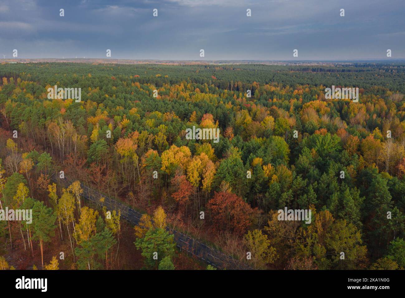 A vast plain covered with a mixed, coniferous deciduous forest. It is ...