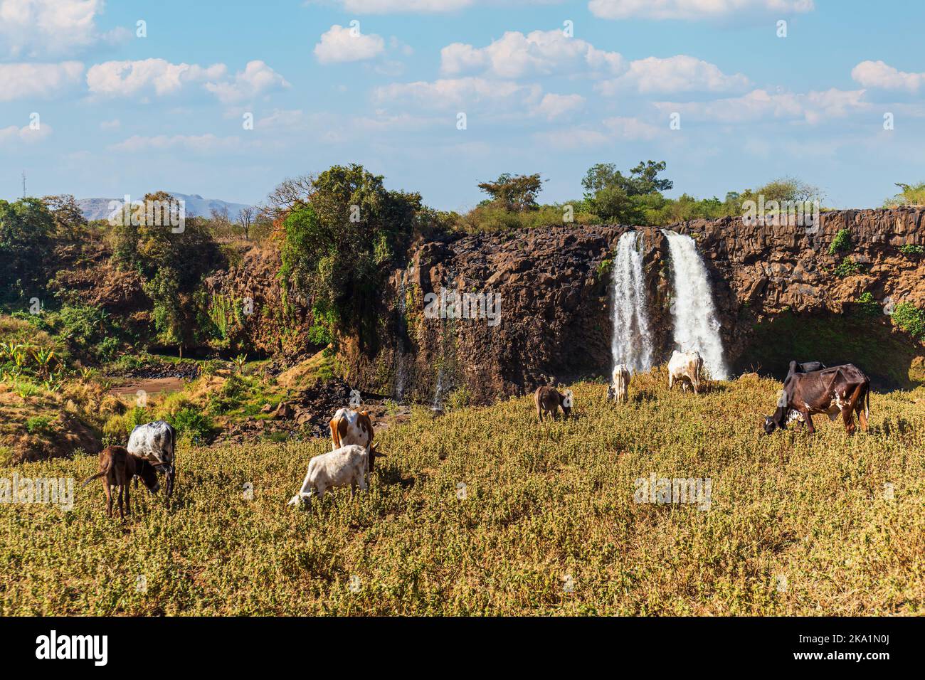 Blue Nile waterfalls, Bahar Dar, Ethiopia Stock Photo - Alamy