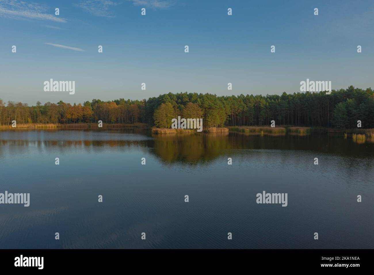 Water reservoir, breeding pond located in the forest. It is fall, the ...