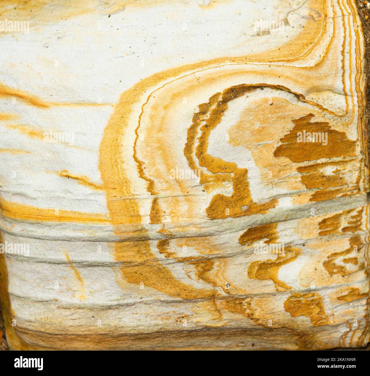 Ancient Jurassic sediments laid down in a shallow marine environment ...