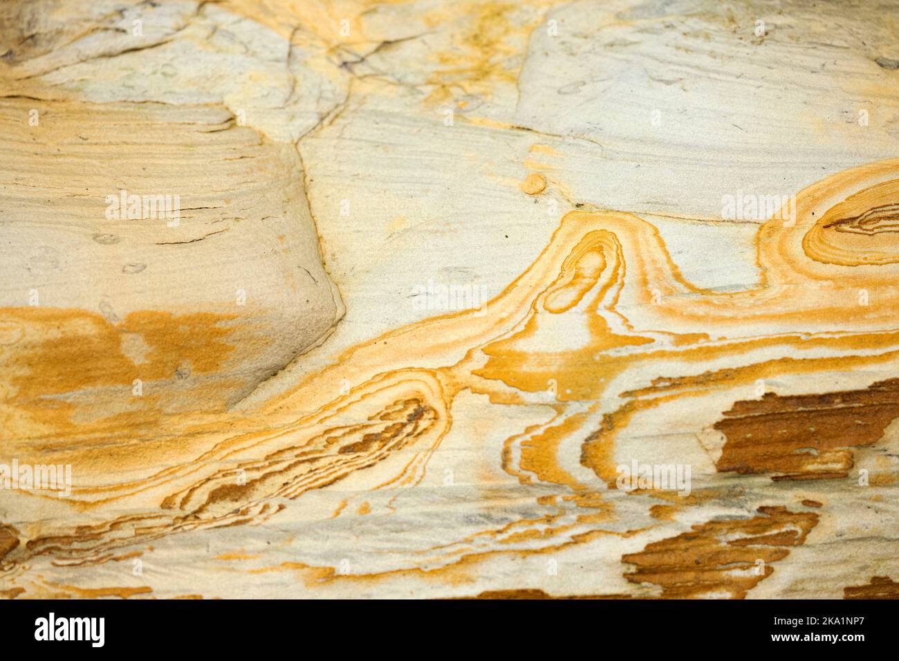 Ancient Jurassic sediments laid down in a shallow marine environment ...