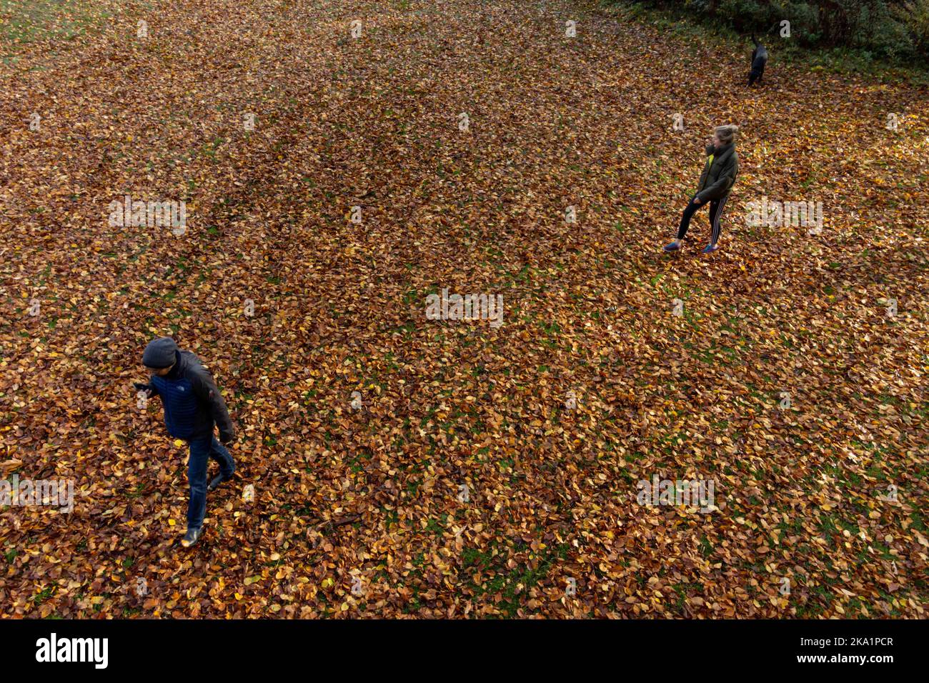 People walk by autumn colour of leaves fallen from a tree at Priory ...