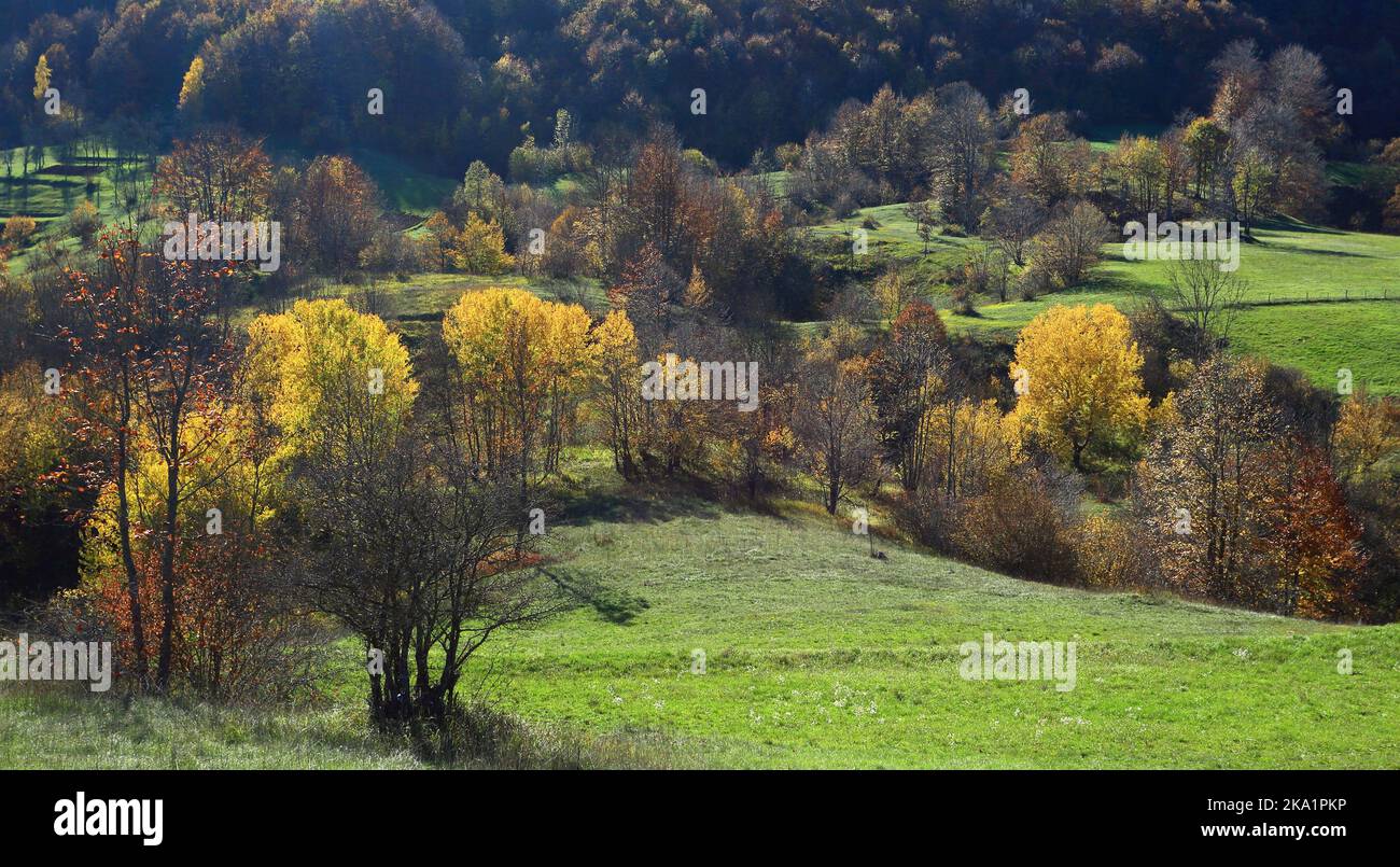 Fall colors in nature. Beautiful landscape. Forest and meadows at ...
