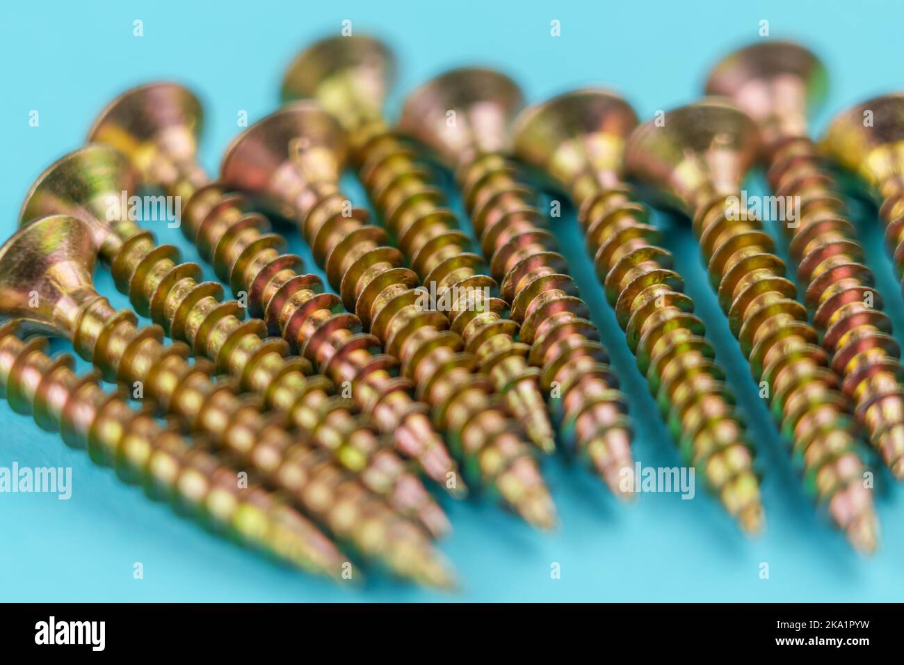 A group of screws on a colored blue background. Work tool. Macro Stock ...