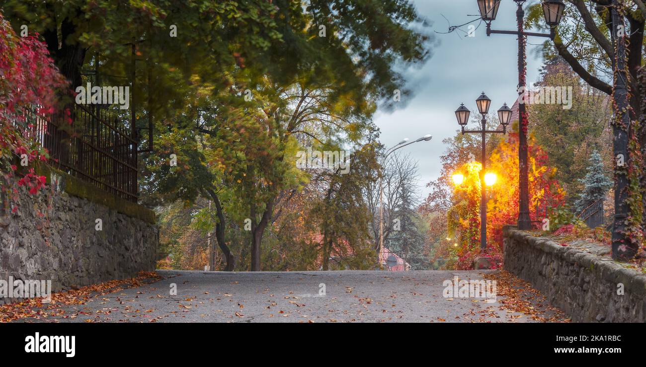 empty street in autumn. urban morning with lanterns. colorful foliage ...