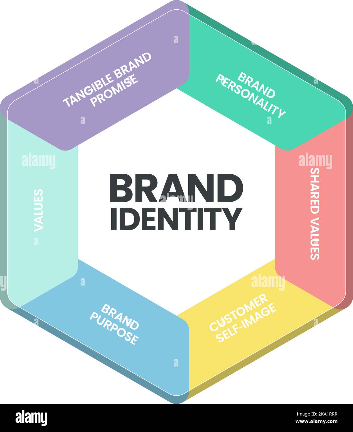 Brand identity infographic vector is digital marketing concept in 6 ...