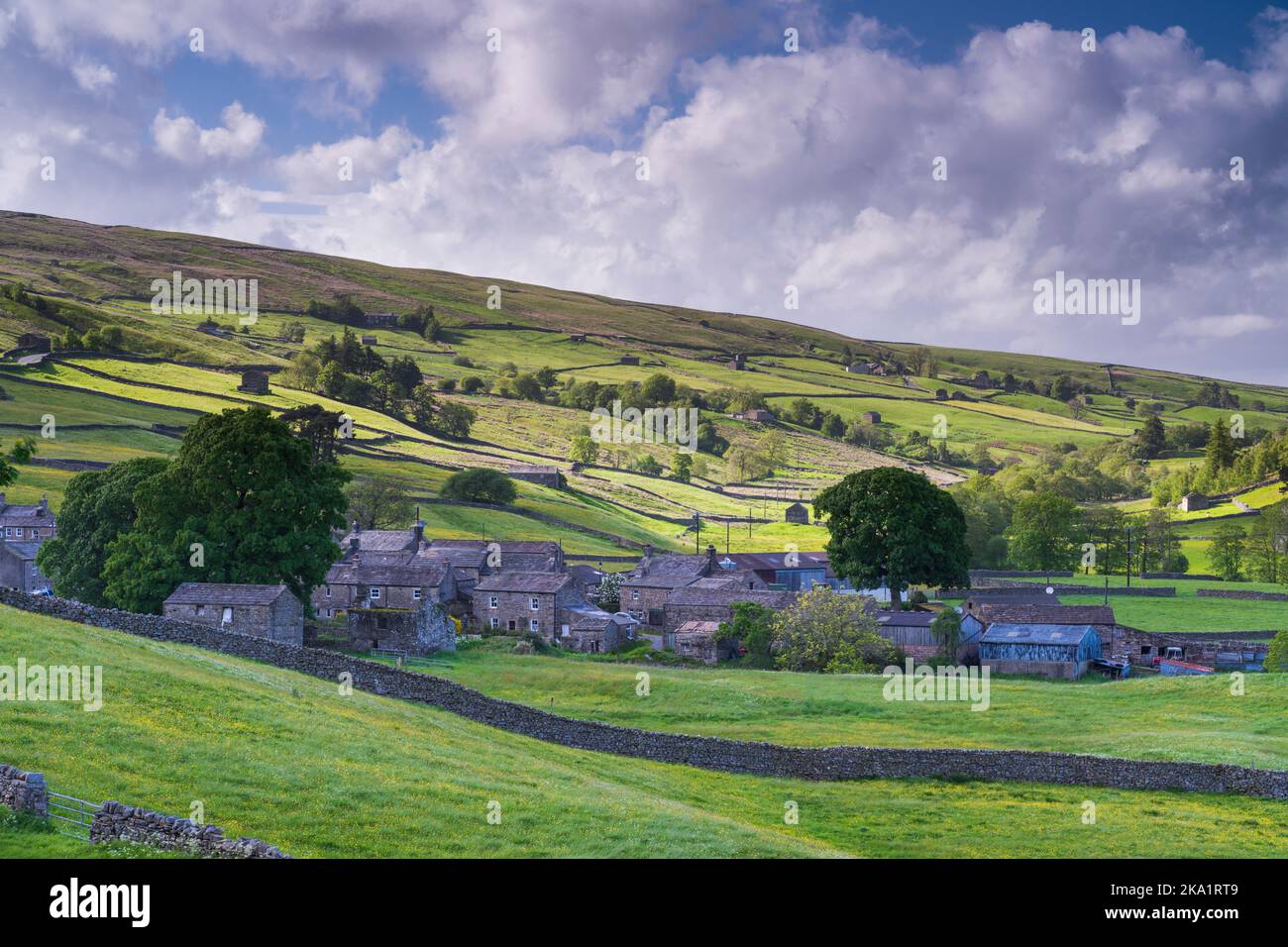 Wild flower, meadows around Thwaite village in upper Swaledale, England ...
