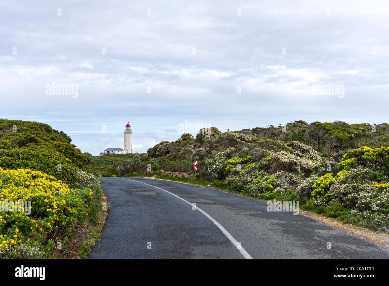Wild flowers and the road to Danger Point Lighthouse on the southern ...