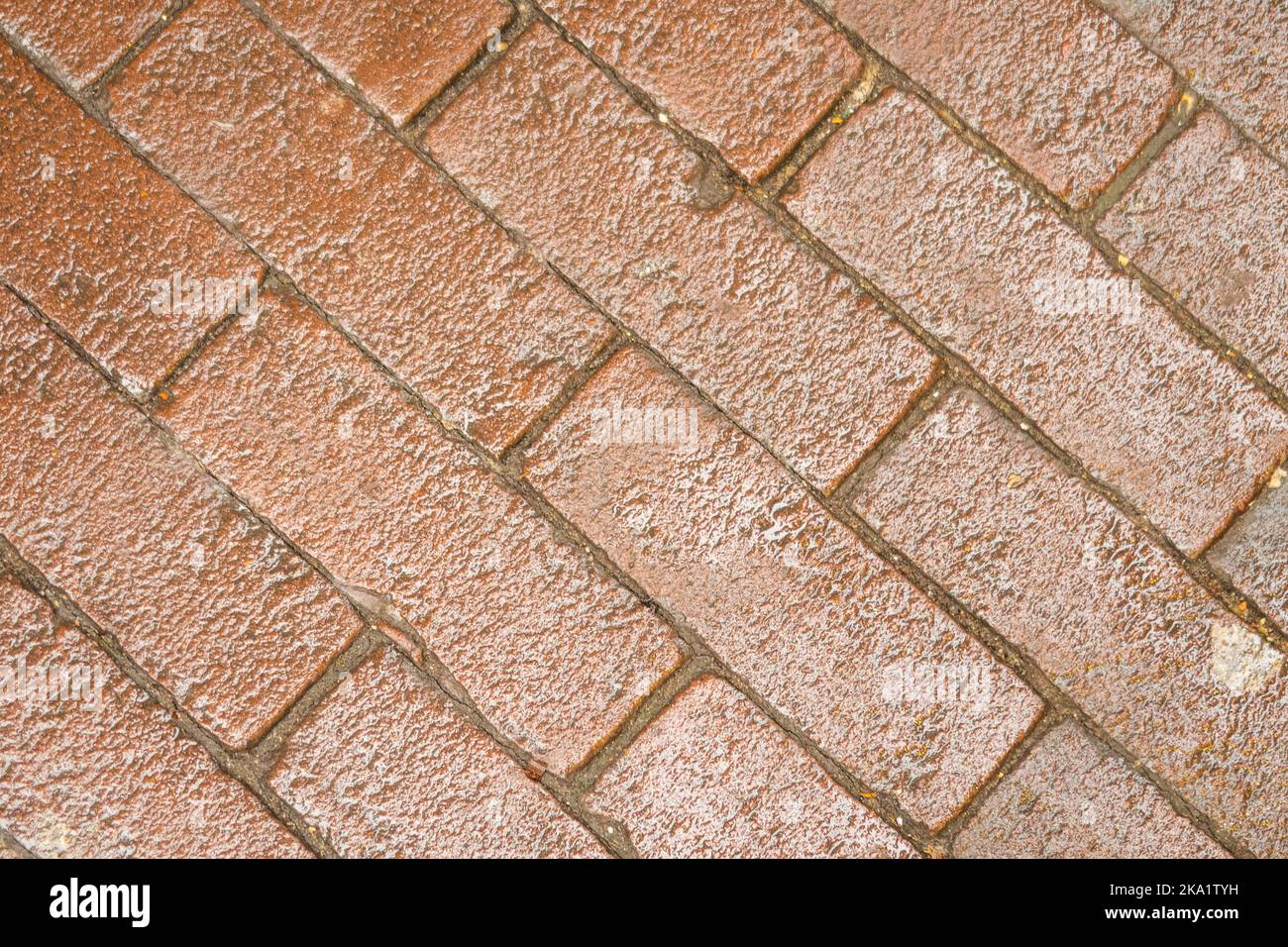 Amsterdam, Netherlands. October 2022. The texture of wet pavement. High ...
