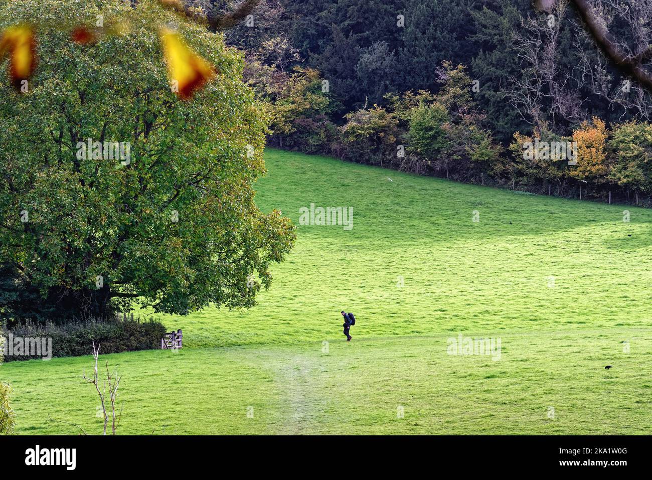 Rambler walking hi-res stock photography and images - Alamy