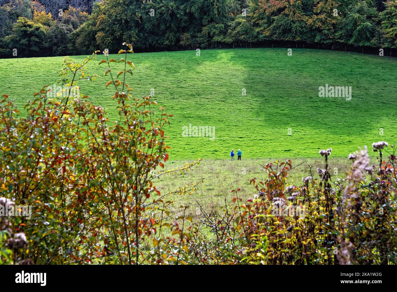 The remote countryside at Ranmore Common in the Surrey Hills on an ...