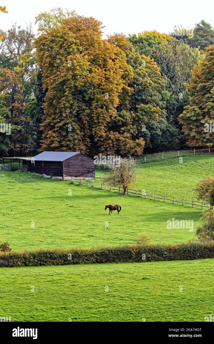 The remote countryside at Ranmore Common in the Surrey Hills on an ...