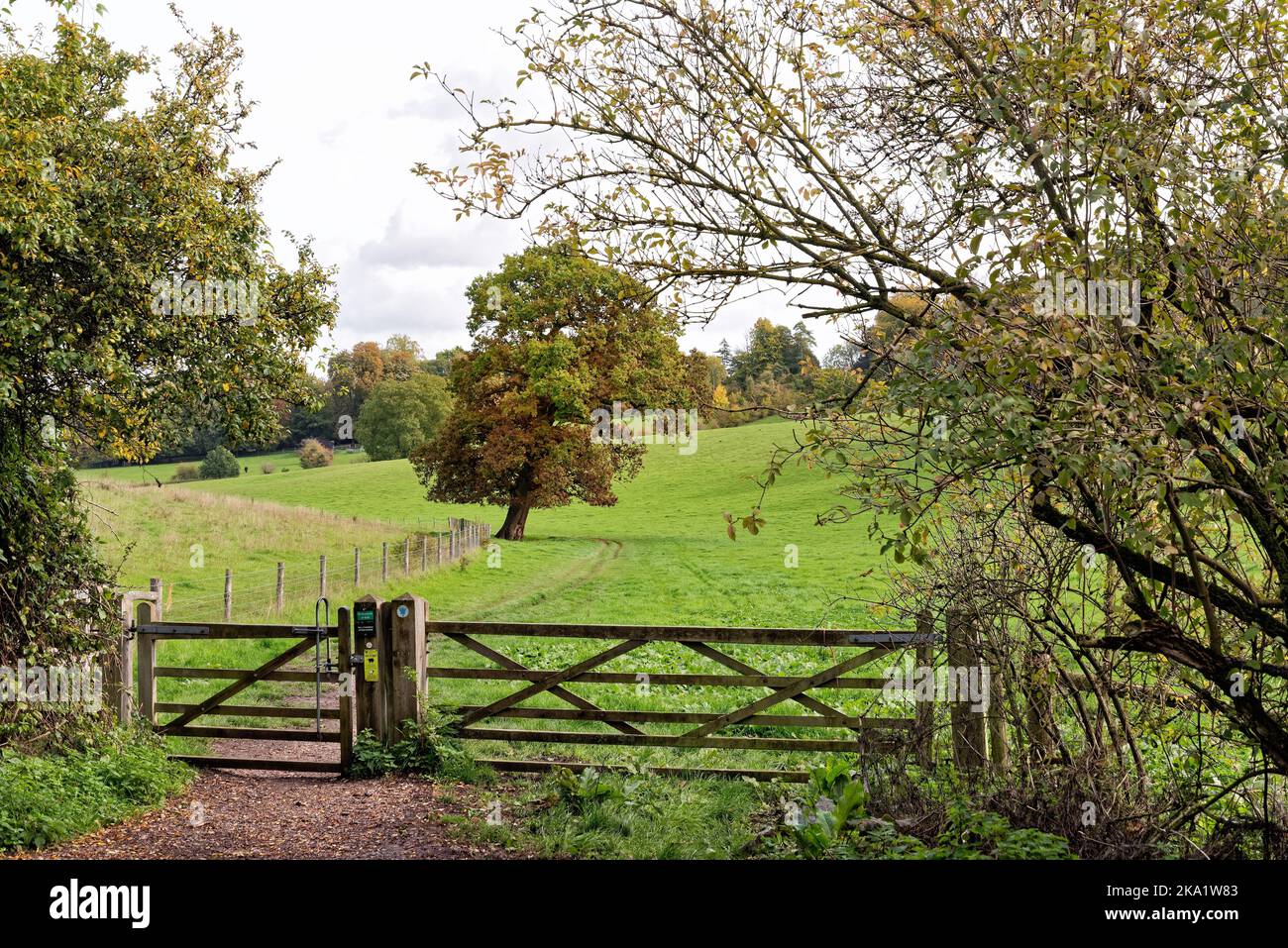 The remote countryside at Ranmore Common in the Surrey Hills on an ...