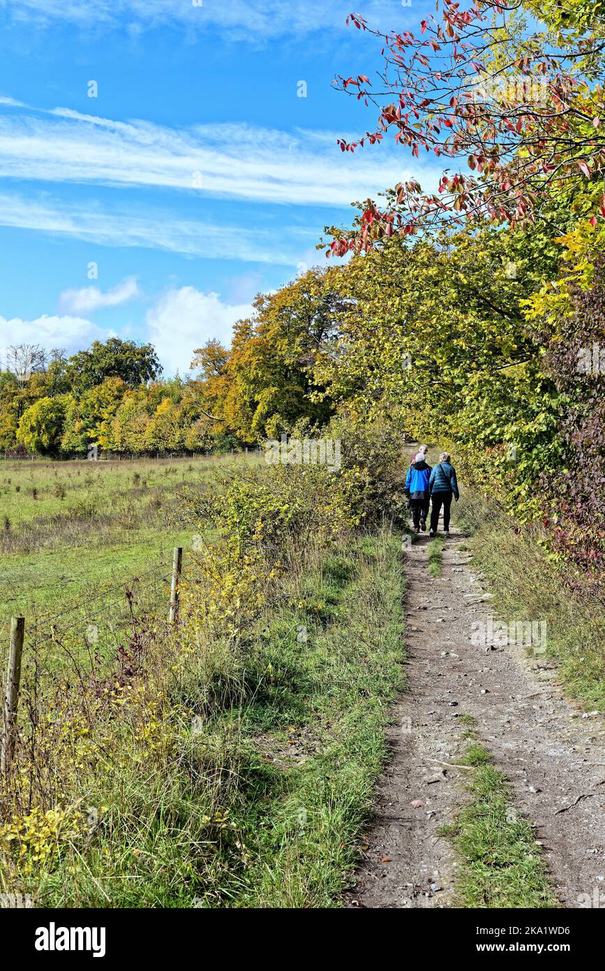 A group of elderly people walking in the remote countryside at Ranmore ...