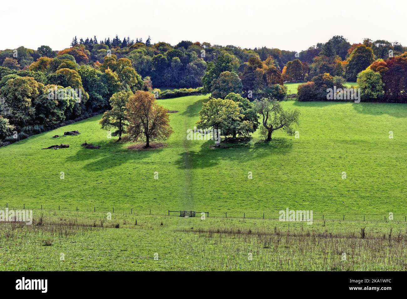 The remote countryside at Ranmore Common in the Surrey Hills on an ...
