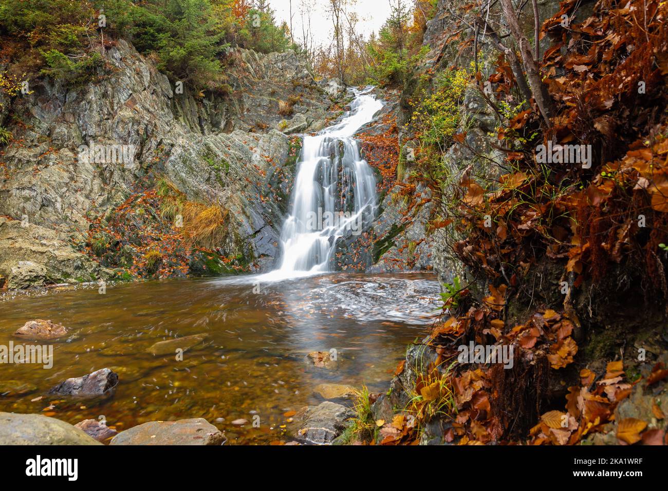 Cascade of Bayehon, the Bayehon is a wild stream that rises in Neûr ...