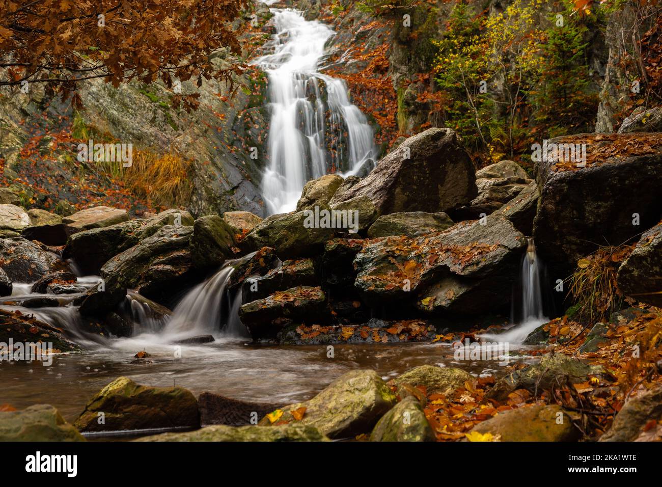 Cascade of Bayehon, the Bayehon is a wild stream that rises in Neûr ...