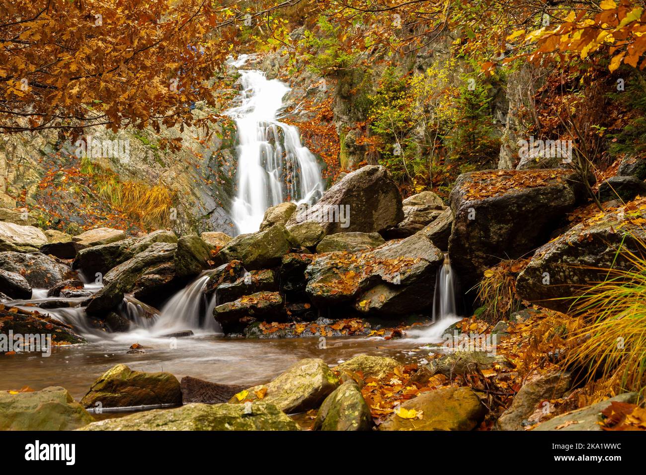 Cascade of Bayehon, the Bayehon is a wild stream that rises in Neûr ...