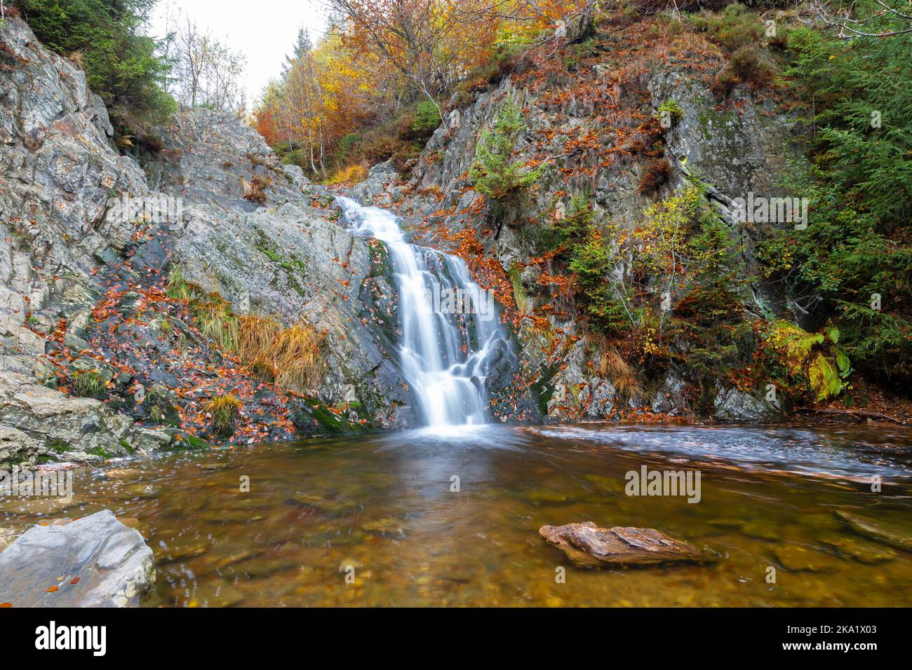 Cascade of Bayehon, the Bayehon is a wild stream that rises in Neûr ...