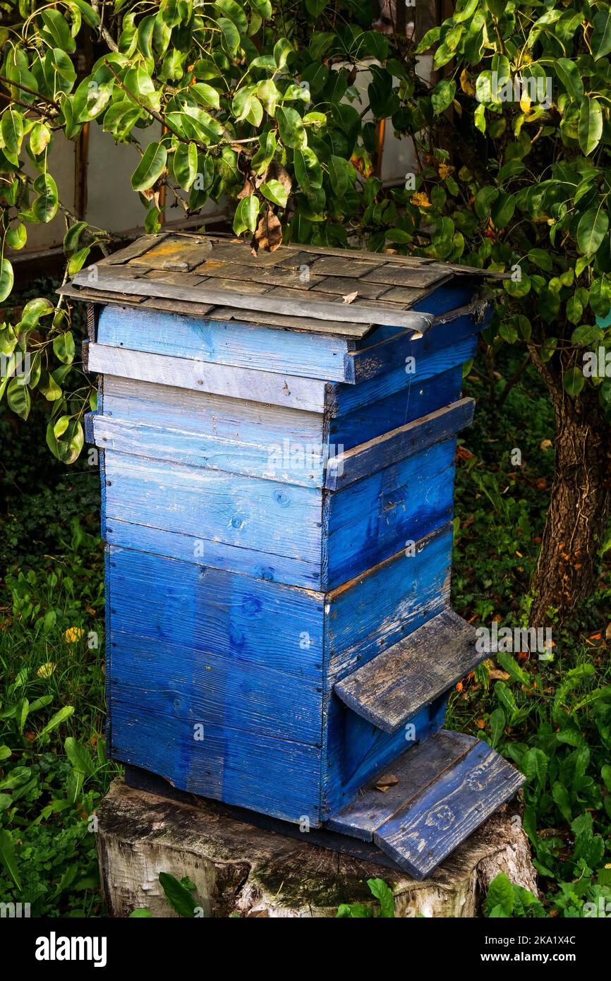 Beehive, Museum of rural development, Steenwerck, Nord, Hauts-de-France ...