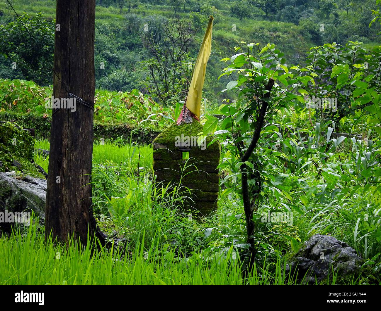 A small triangular temple or prayer spot of Hindu deity . These small ...