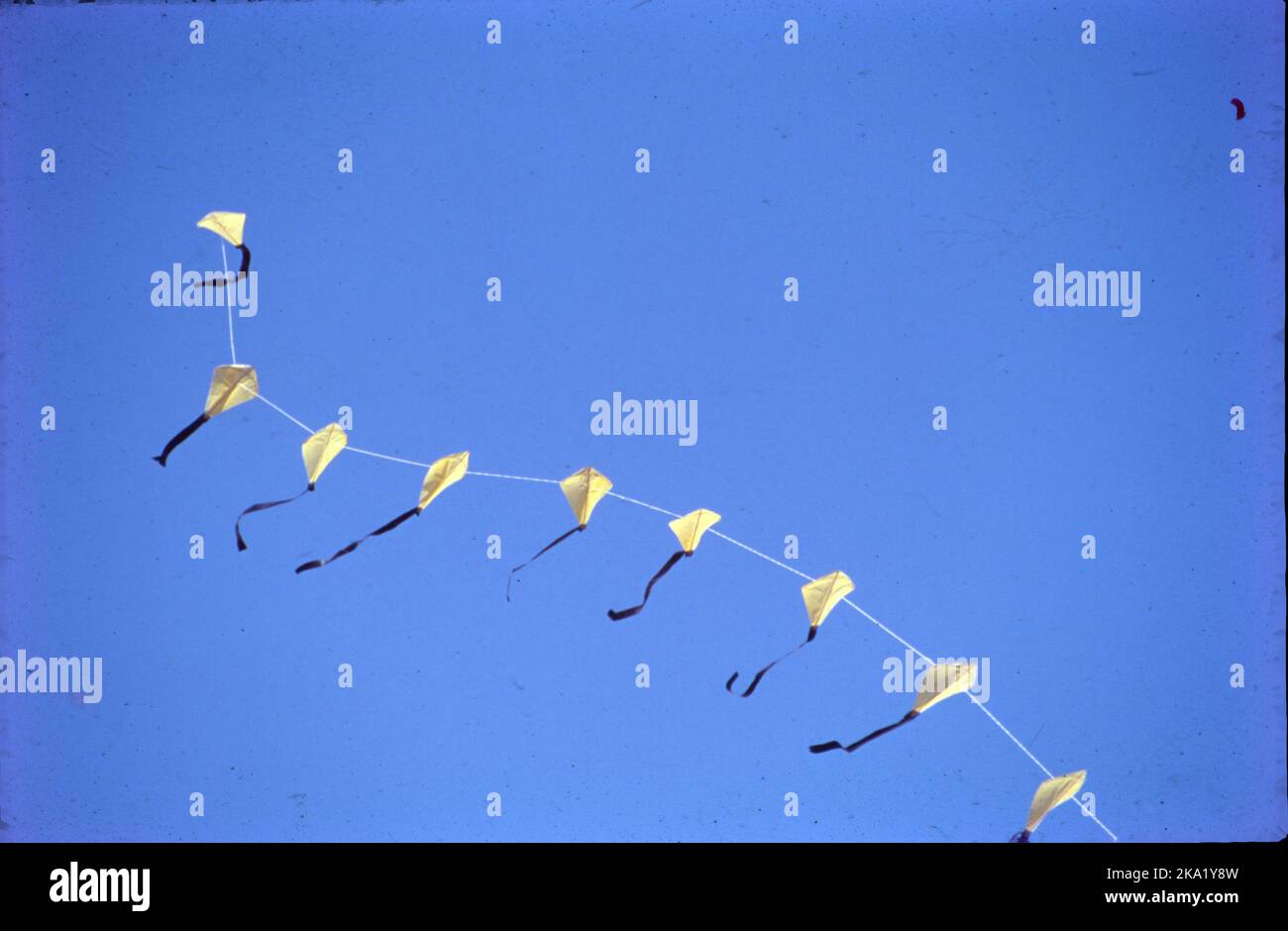 Kite Festival is celebrated since 1989 in the city of Ahmedabad as part ...