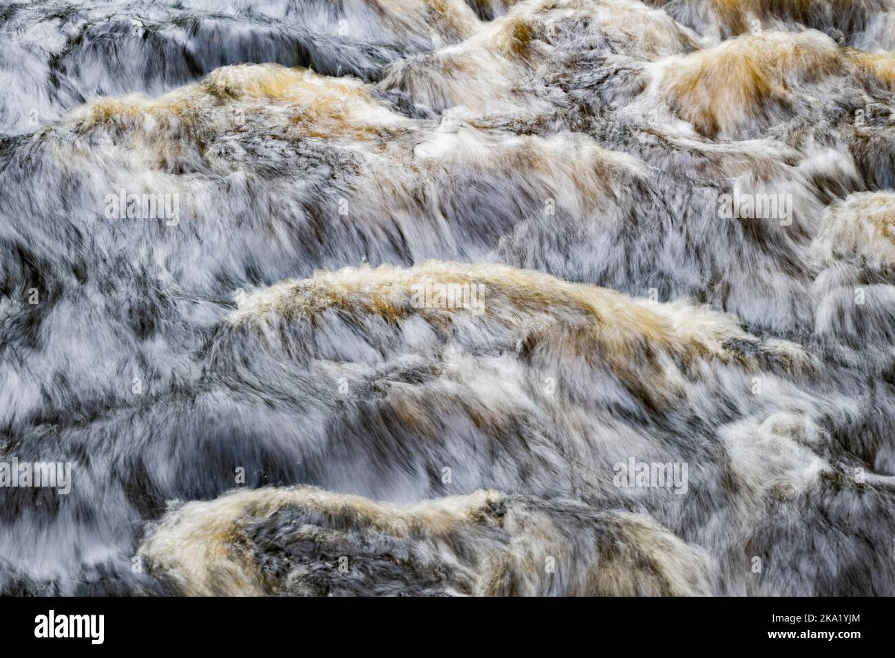River rapids look like fluffy fir of an animal, Gladyshevka river ...