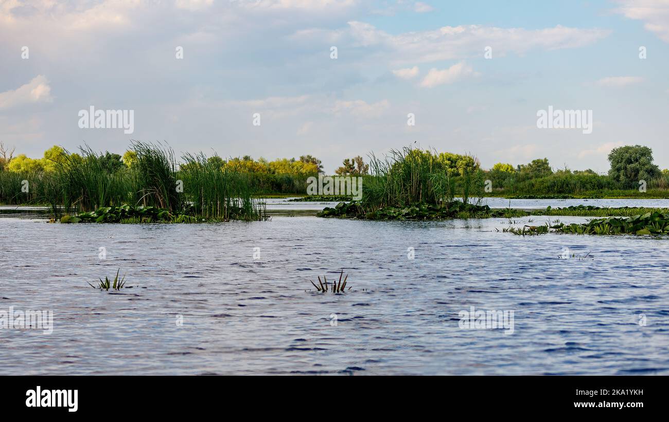 Danube river delta aerial hi-res stock photography and images - Alamy