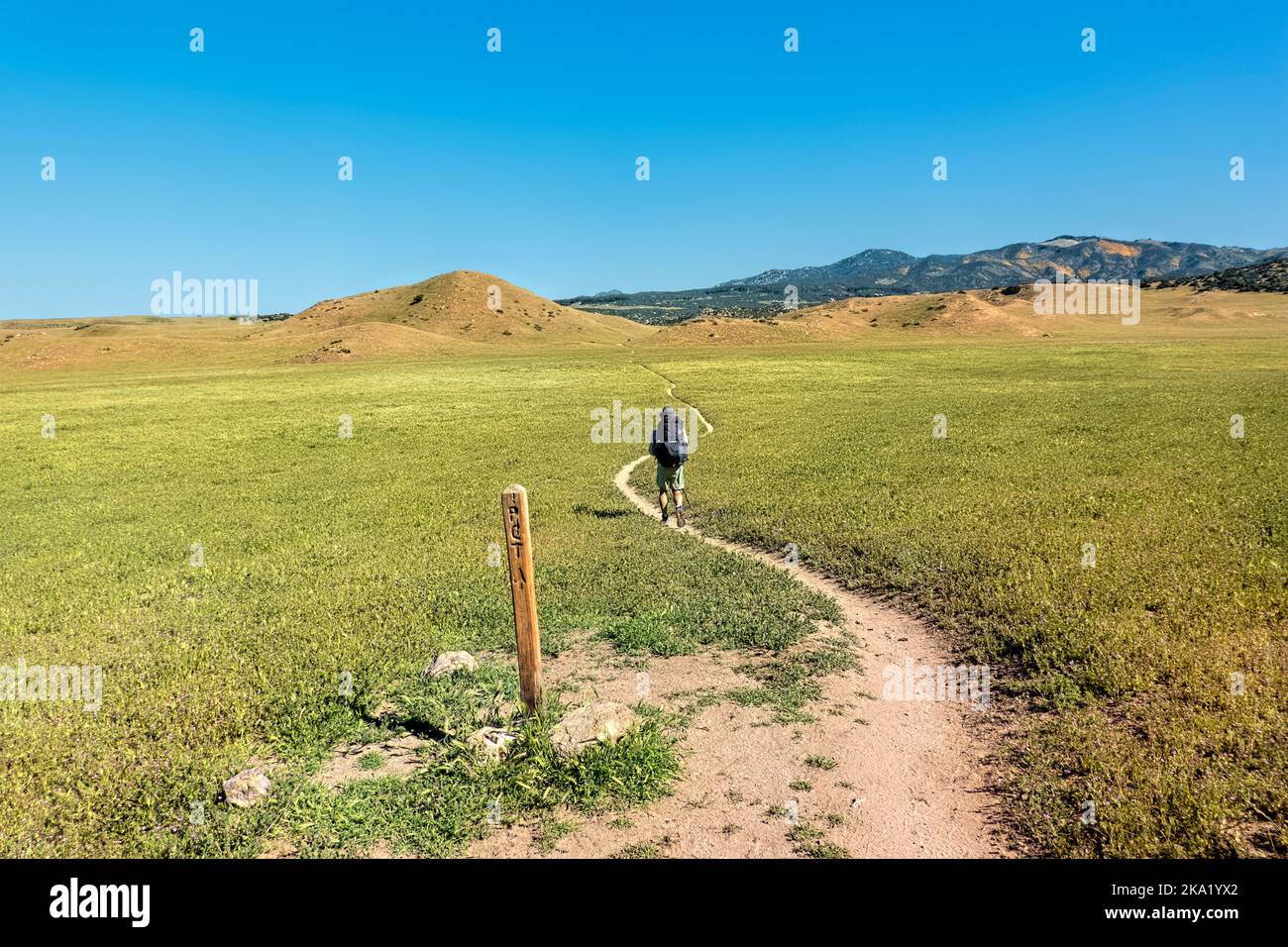 Spring in the desert near Warner Springs, California, Pacific Crest ...