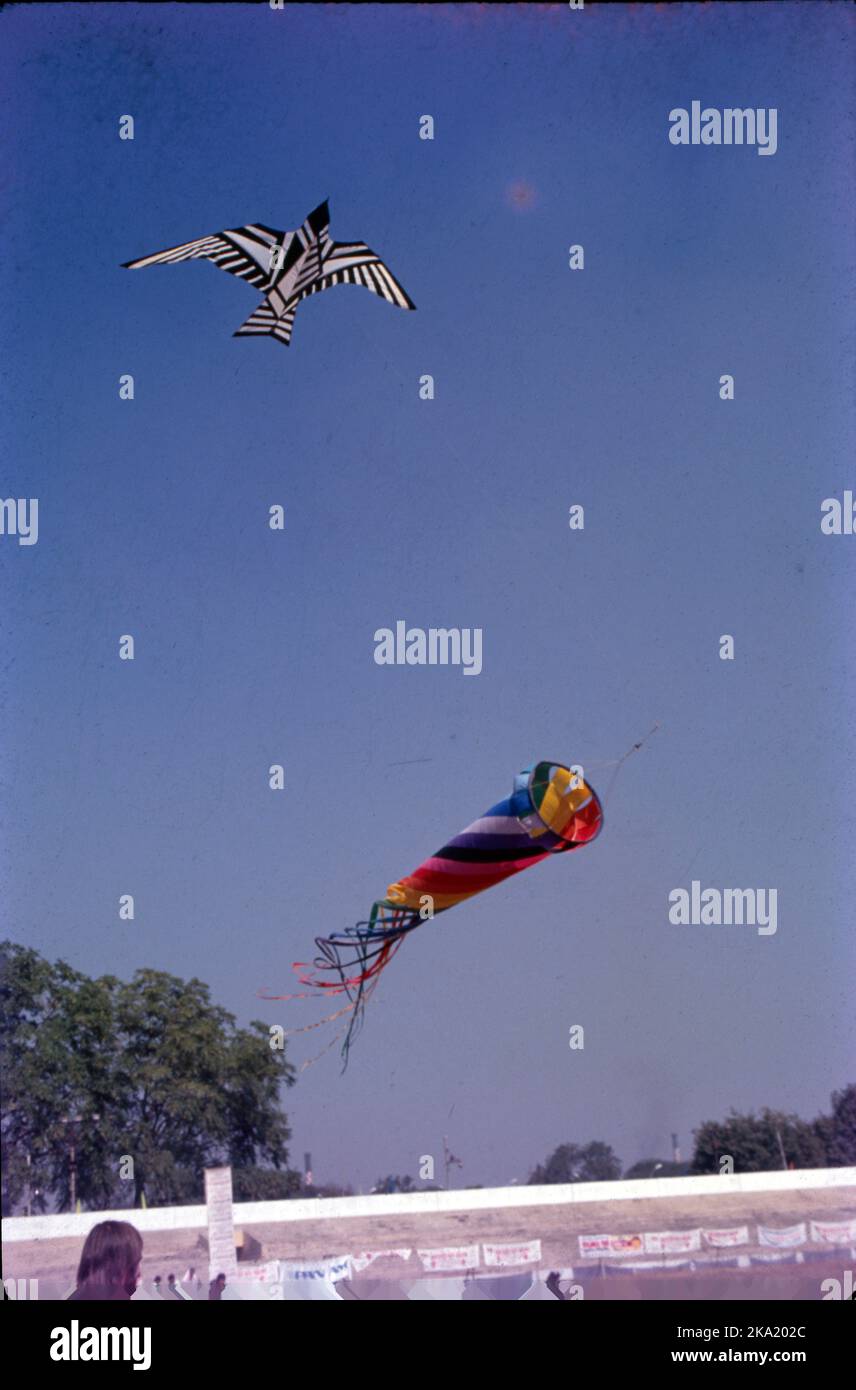 Kite Festival is celebrated since 1989 in the city of Ahmedabad as part ...