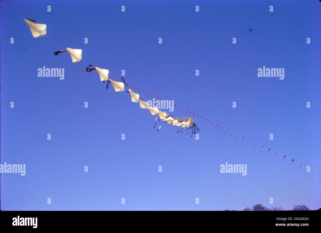 Kite Festival is celebrated since 1989 in the city of Ahmedabad as part ...