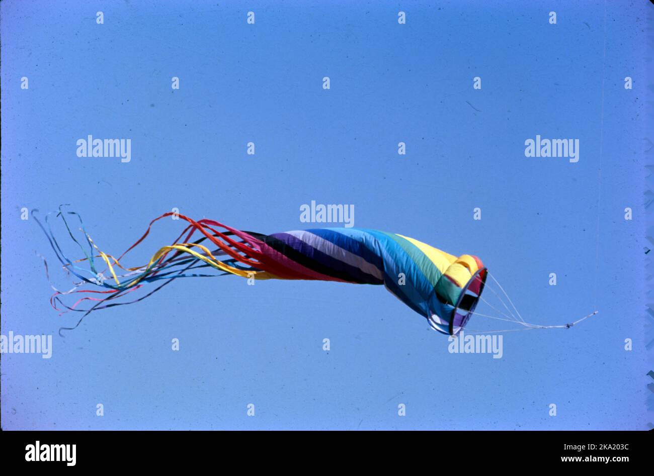 Kite Festival is celebrated since 1989 in the city of Ahmedabad as part ...